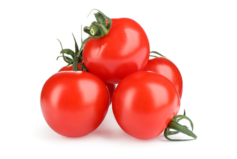 Bulk Tomatoes Packing and Labeling | Premier Produce