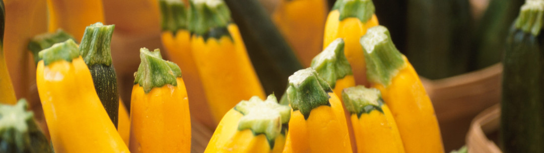 Quality Produce Packed with Pride | Premier Produce