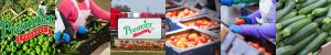 About Premier Produce | Bulk Packaging and Labeling